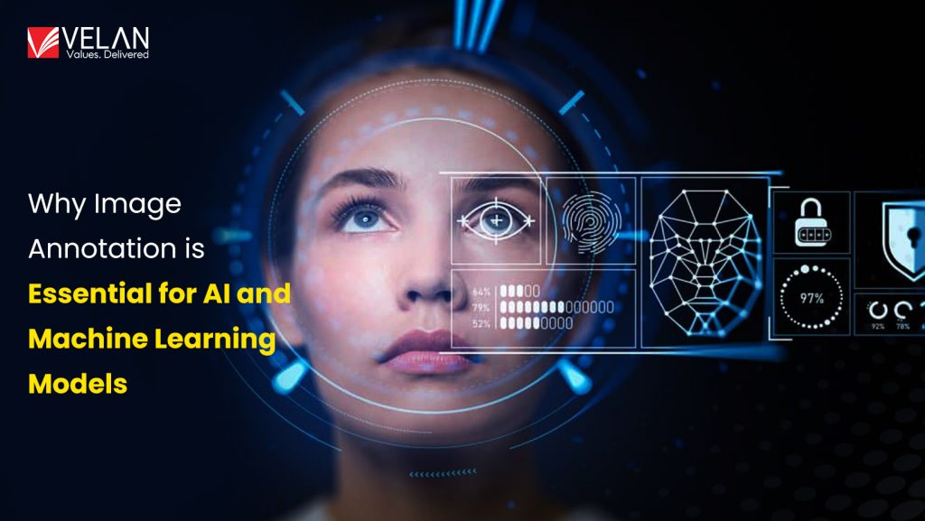 Image Annotation Services for AI & Machine Learning